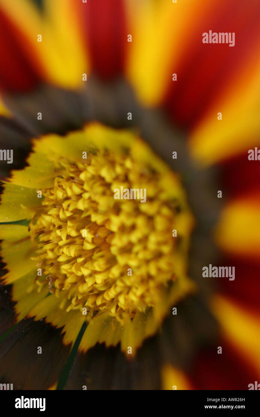 Stigma hi res hi-res stock photography and images - Alamy