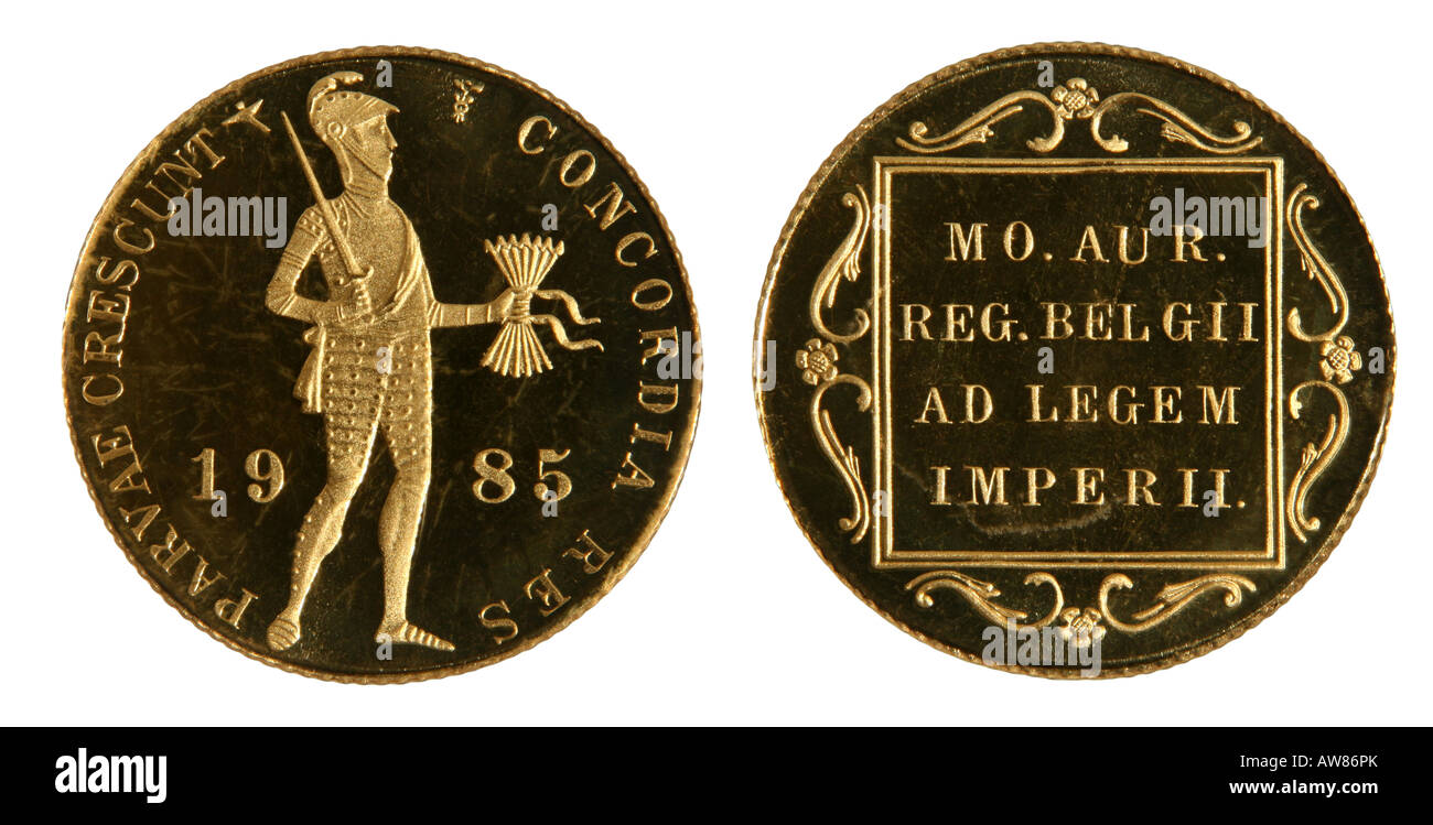 Proof 1985 Dutch ducat gold coin, obverse and reverse Stock Photo - Alamy
