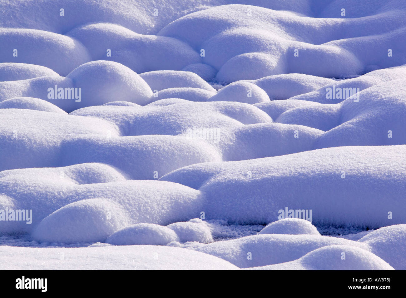 Bog with snow hi-res stock photography and images - Alamy