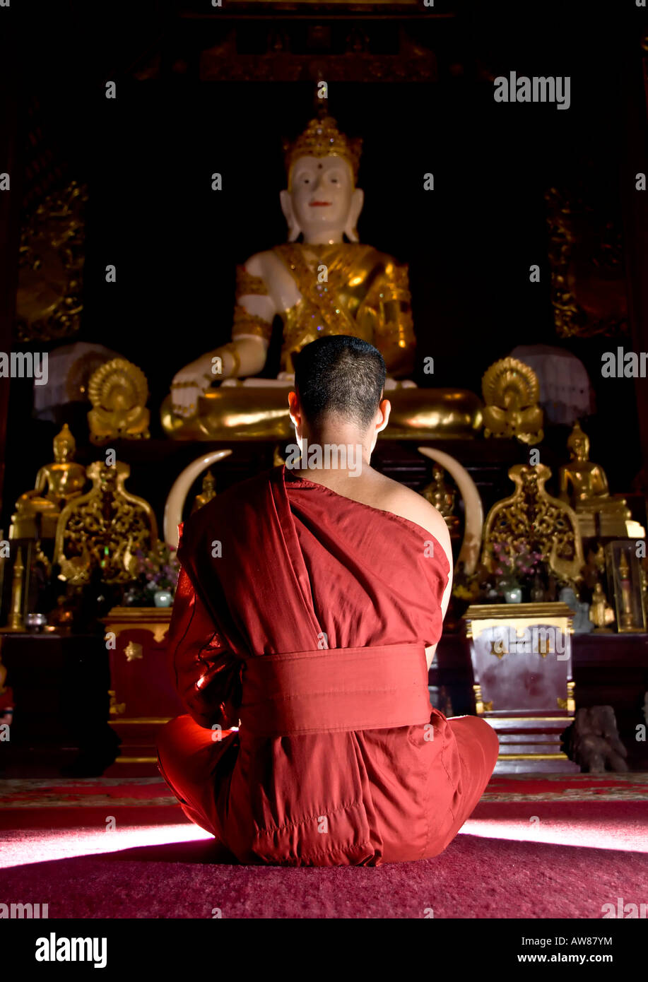 Buddhist monk wearing the red robes of Myanmar Burma sitting an ...