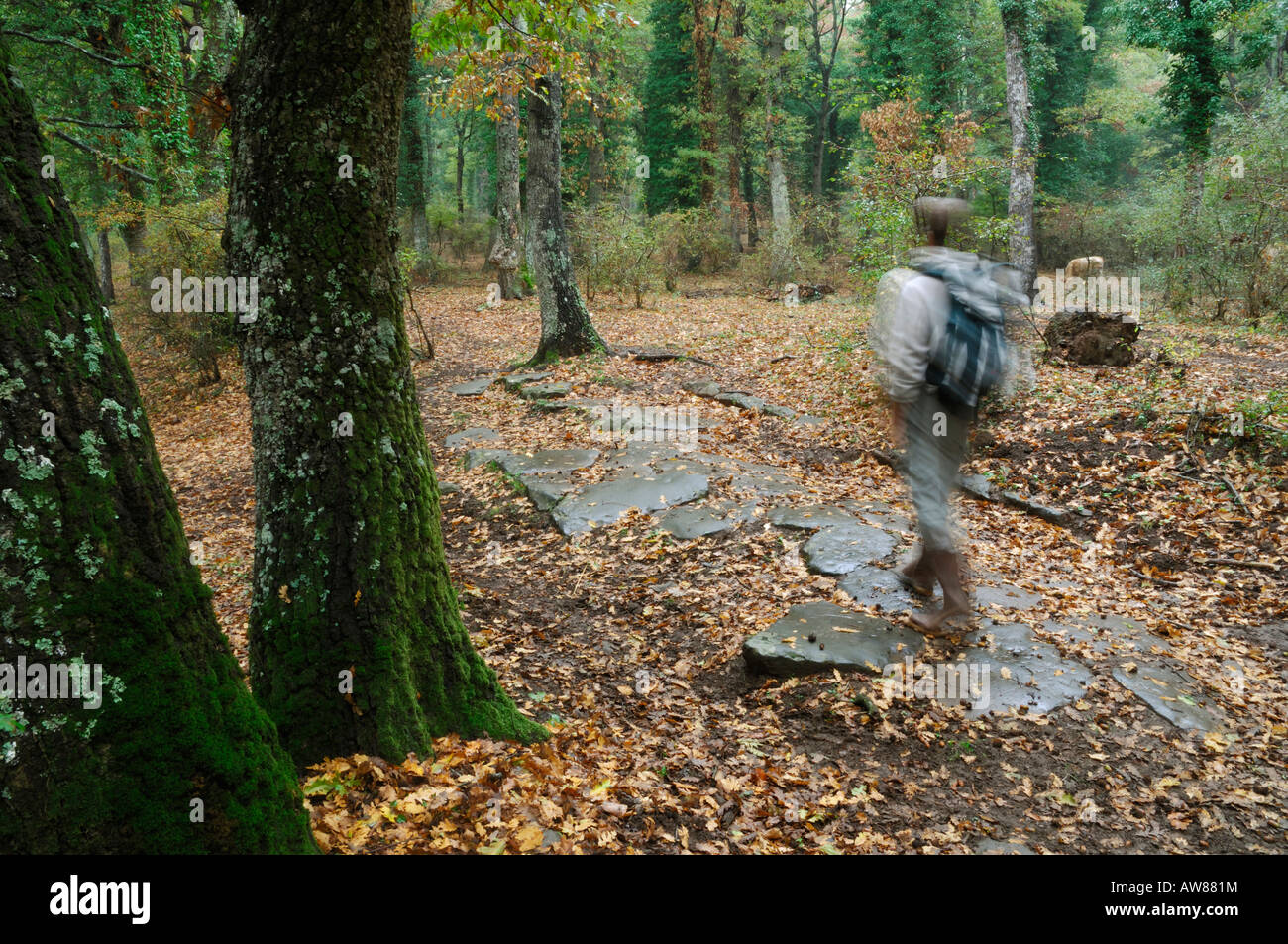 via clodia ancient roman way Stock Photo - Alamy