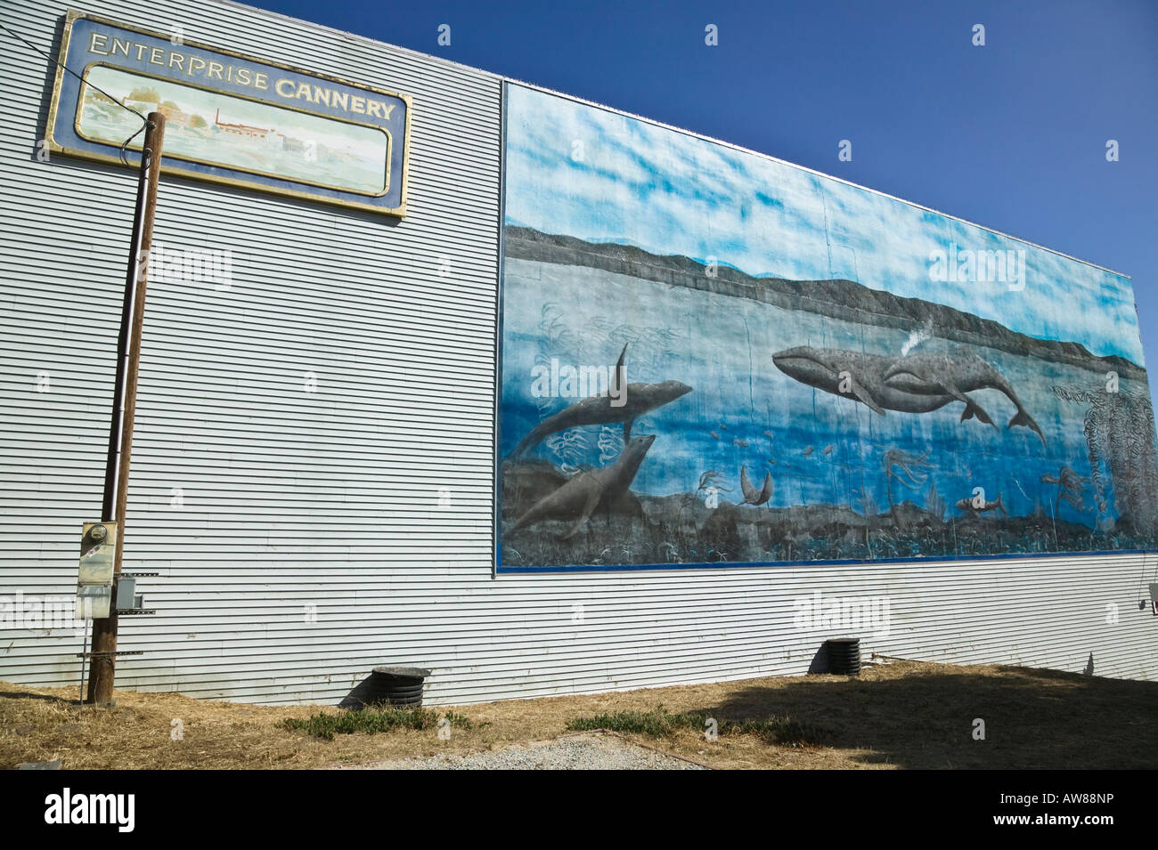 Monterey bay mural hi-res stock photography and images - Alamy