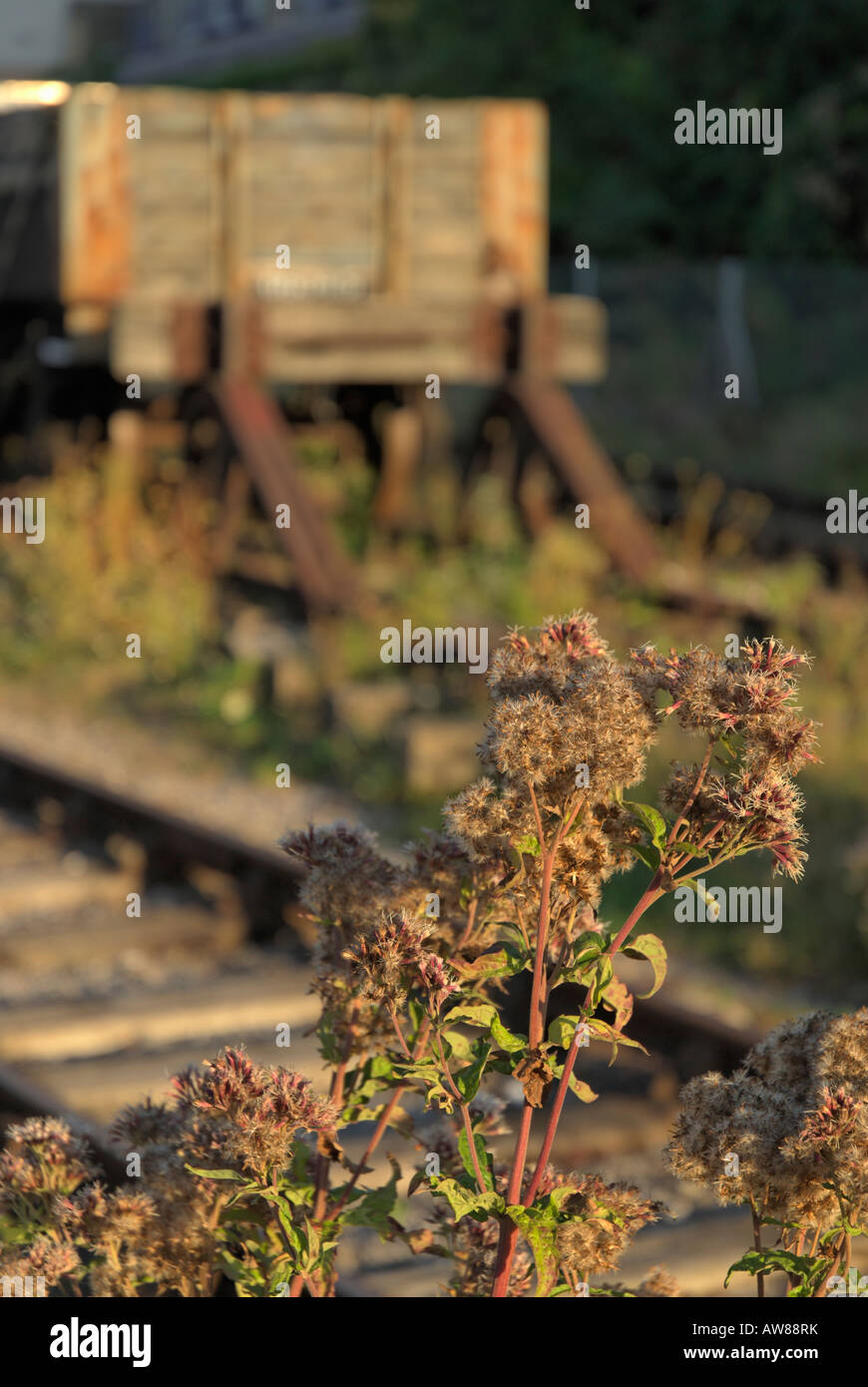 Old railway buffers railway siding Stock Photo - Alamy