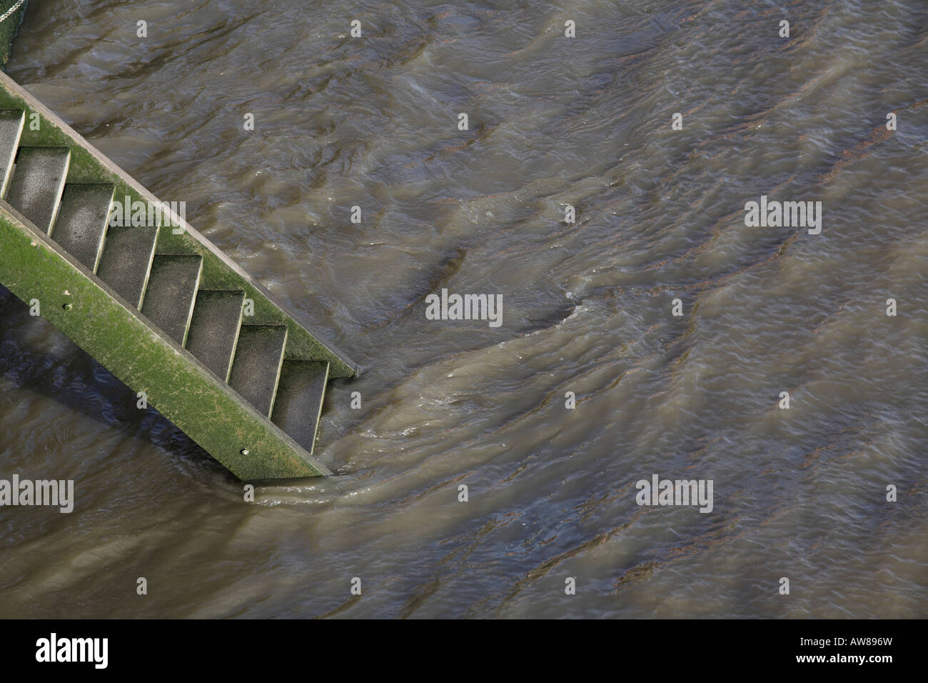 Stairs leading into the River Thames at high tide Stock Photo - Alamy