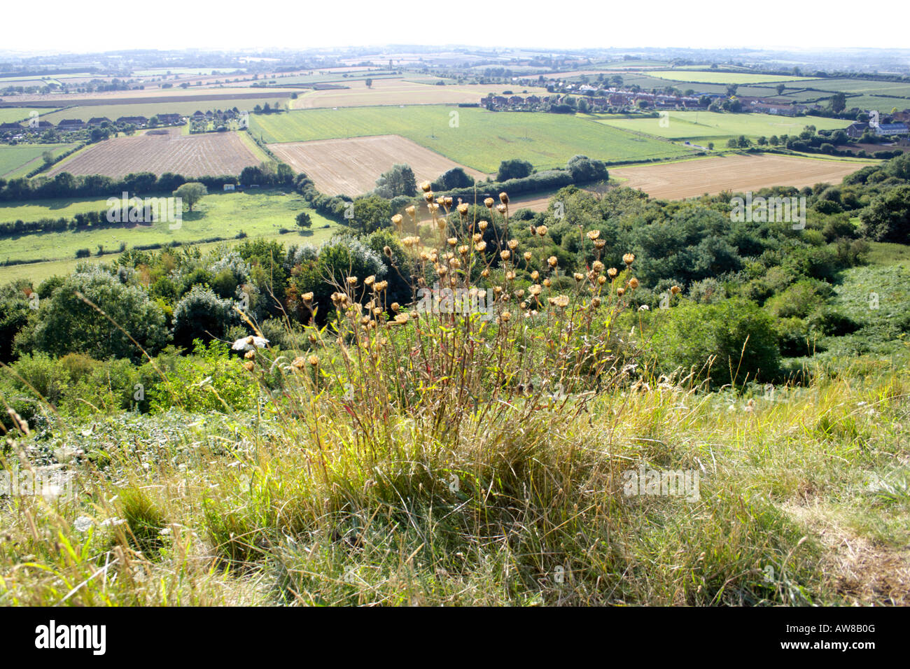The view from Ham Hill, Somerset, England Stock Photo - Alamy