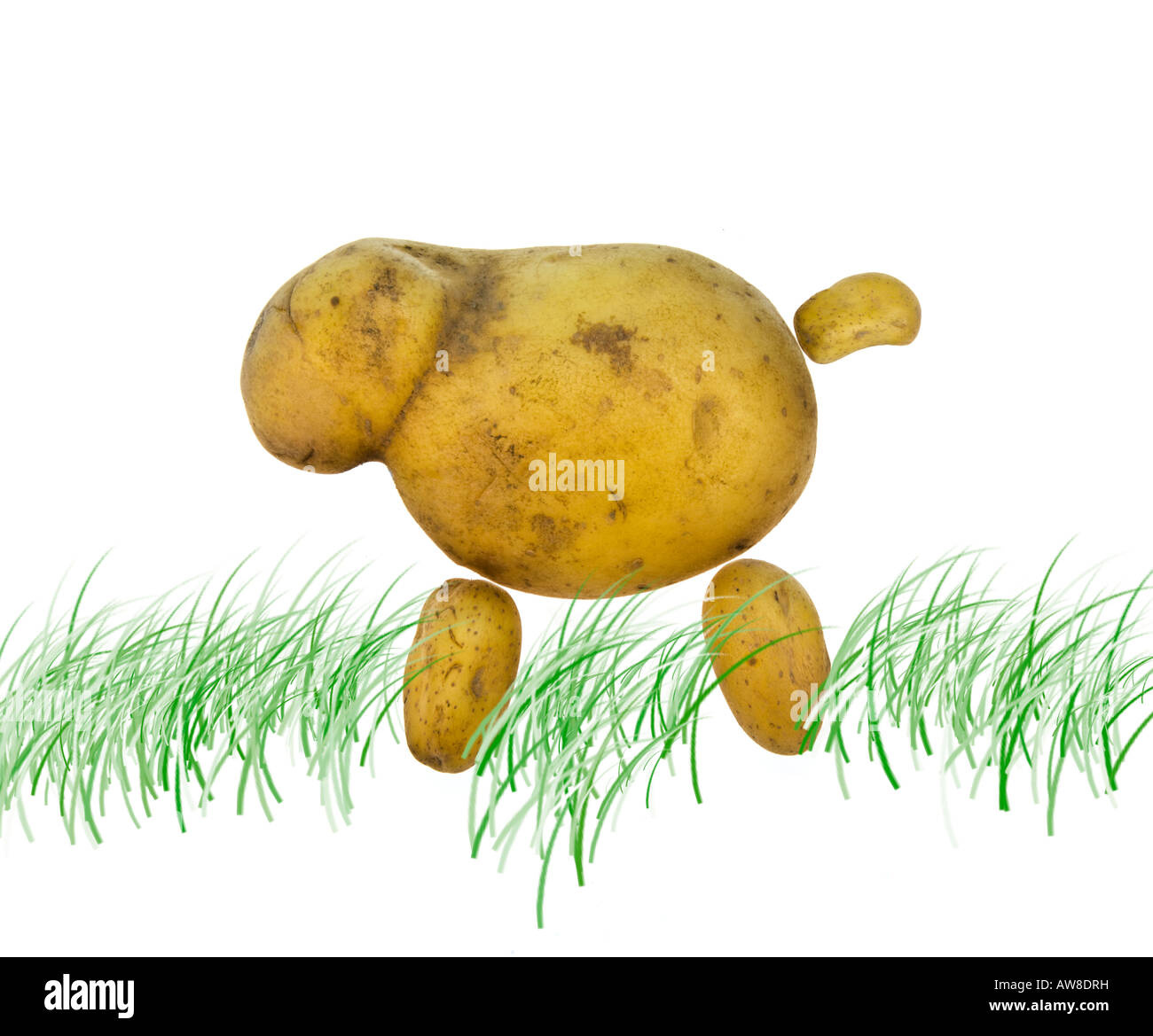 Lumped together hi-res stock photography and images - Alamy