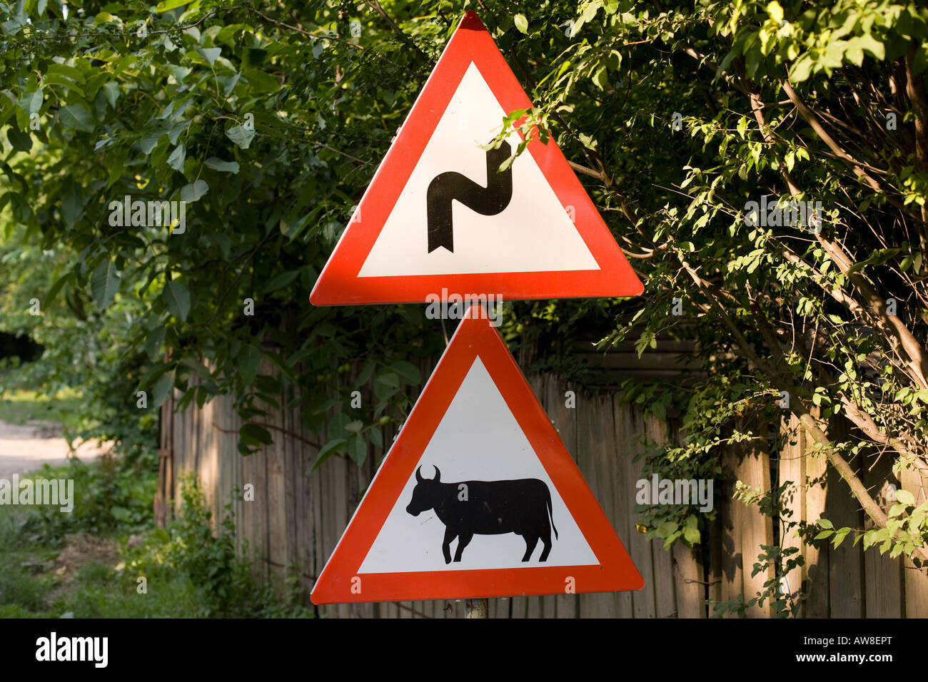 a cow warning road sign and a double bend warning road sign Stock Photo ...