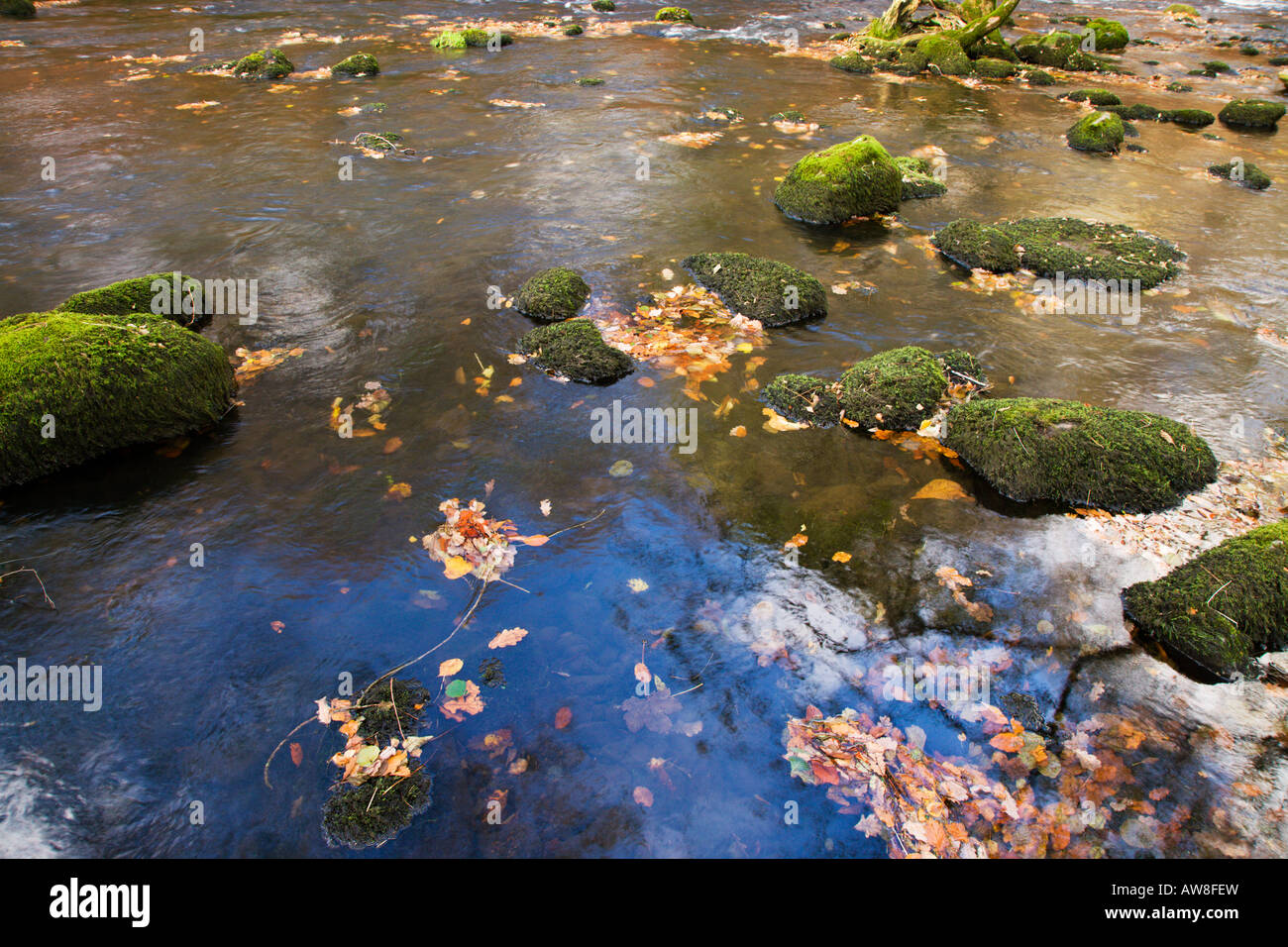 Late Autumn Colours In October The River Rothay Flowing To Grasmere ...