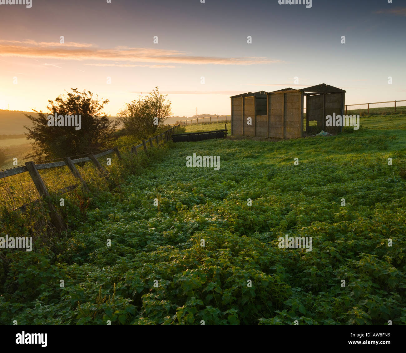 North warren dawn hi-res stock photography and images - Alamy