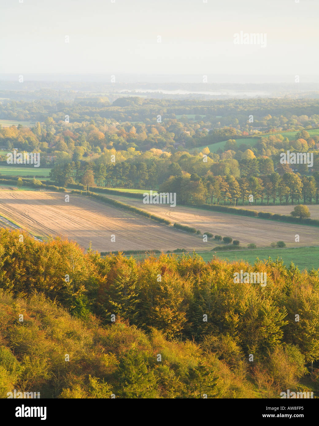 From kingsclere hi-res stock photography and images - Alamy