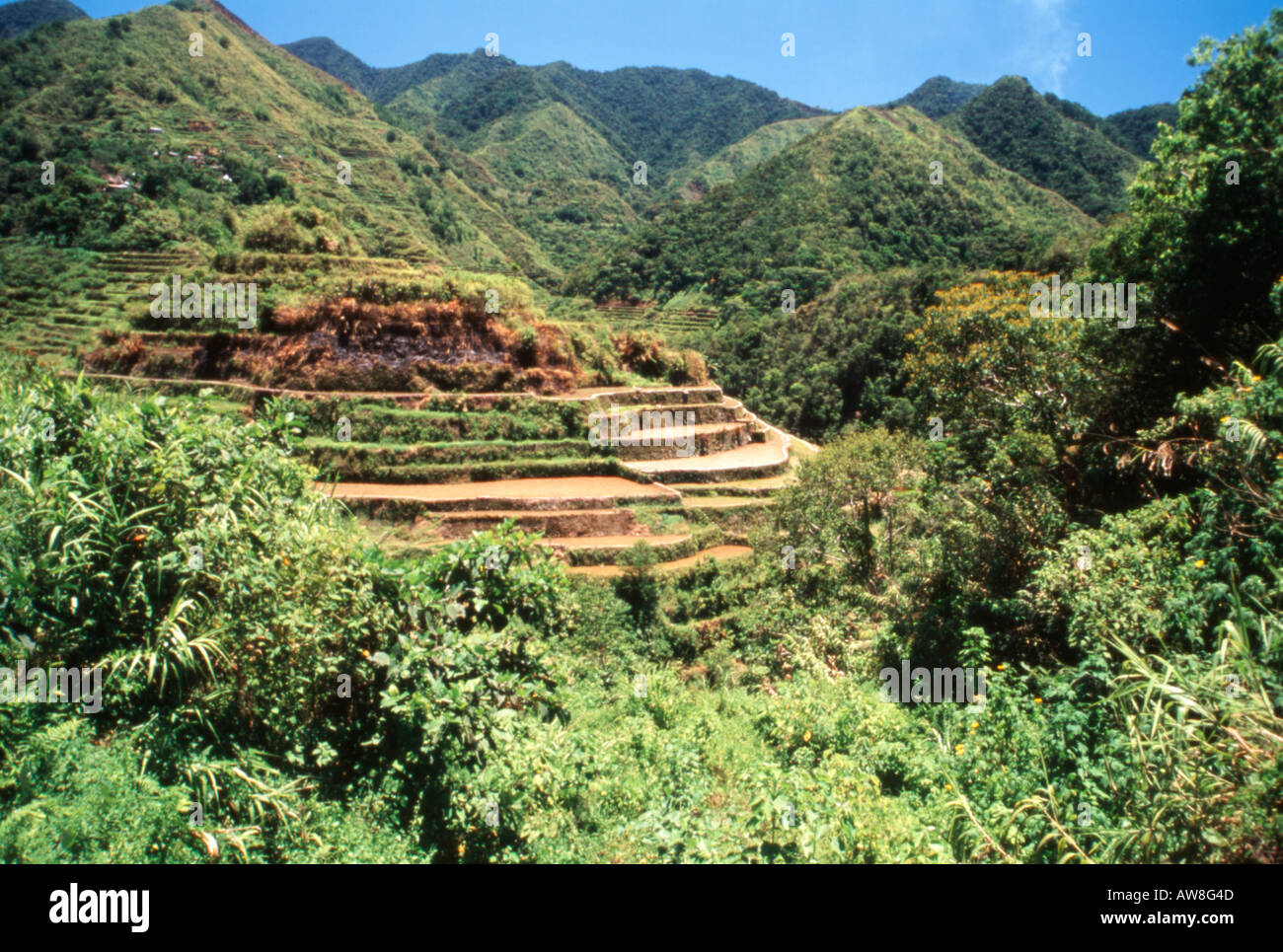Mountain landscape Batad area Luzon Philippines Stock Photo - Alamy