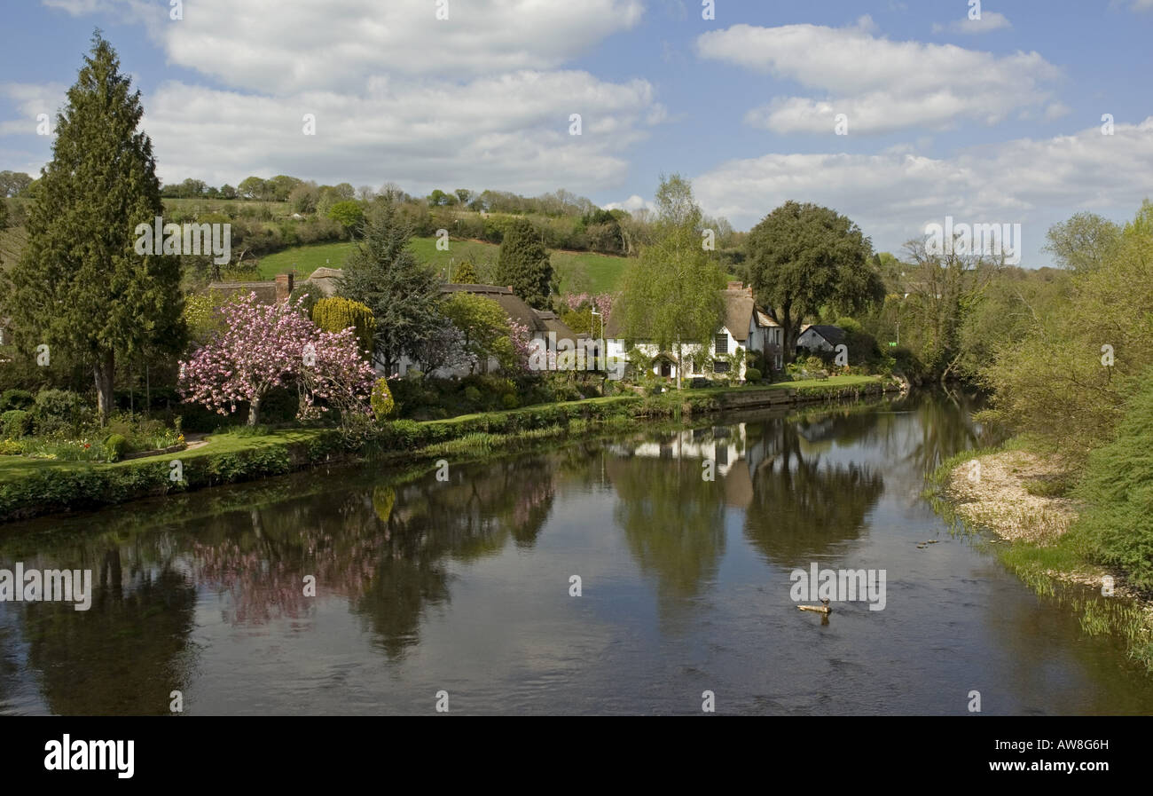 The River Exe at Bickleigh, Devon Stock Photo - Alamy