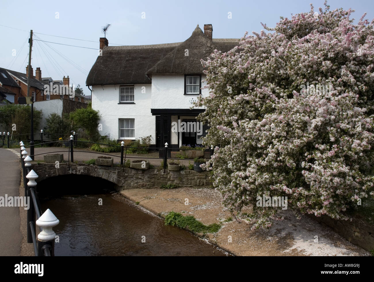 Springtime village scene, Thorverton, Devon Stock Photo - Alamy