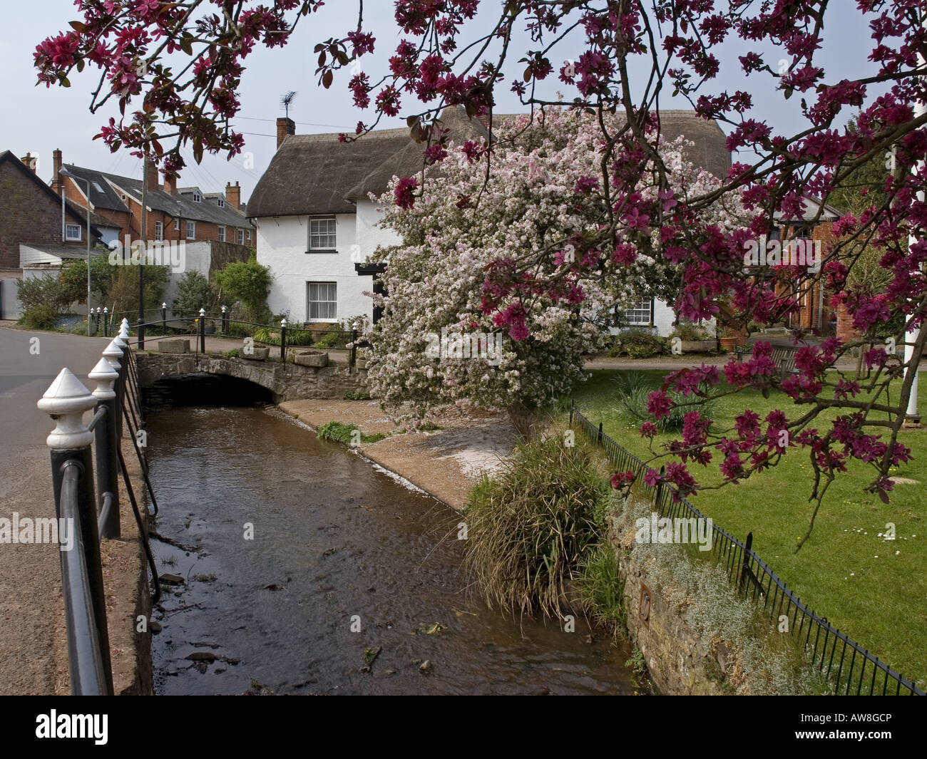Springtime village scene, Thorverton, Devon Stock Photo - Alamy