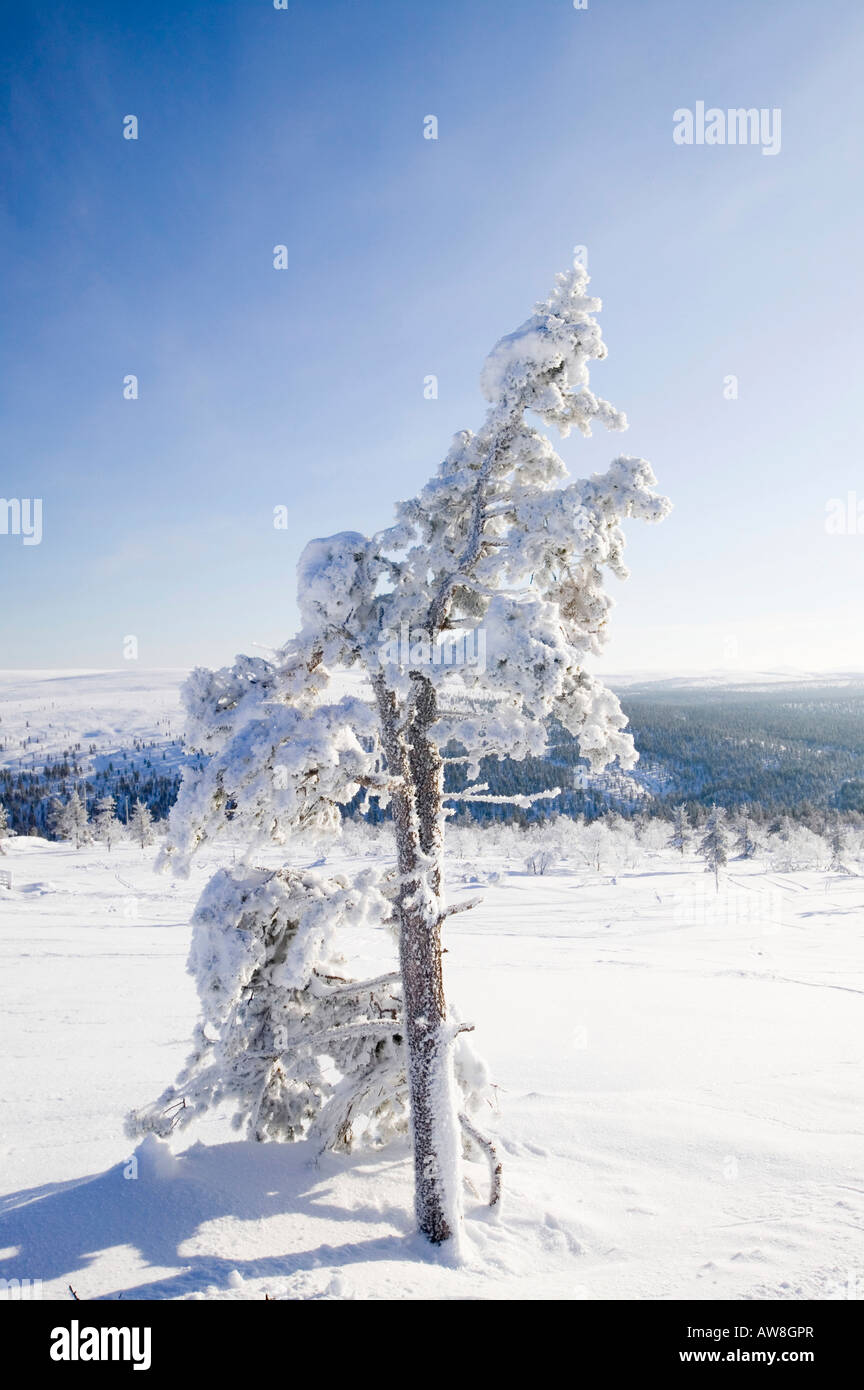 Winter in Saariselka Northern Finland Climate change has already raised ...
