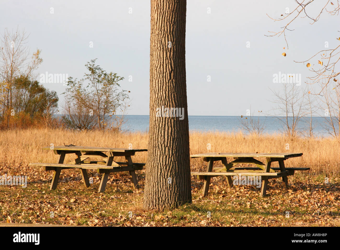 Table hi res hi-res stock photography and images - Alamy