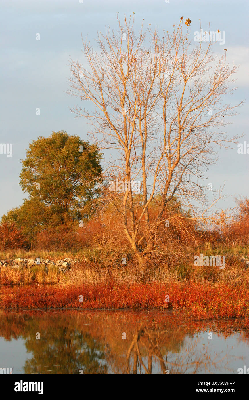 Ohio landscape not colorado hi-res stock photography and images - Alamy