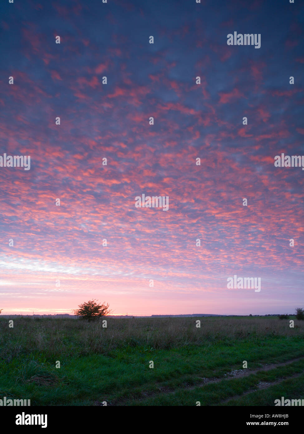 The Ridgeway long distance path along the boader of Berkshire and ...