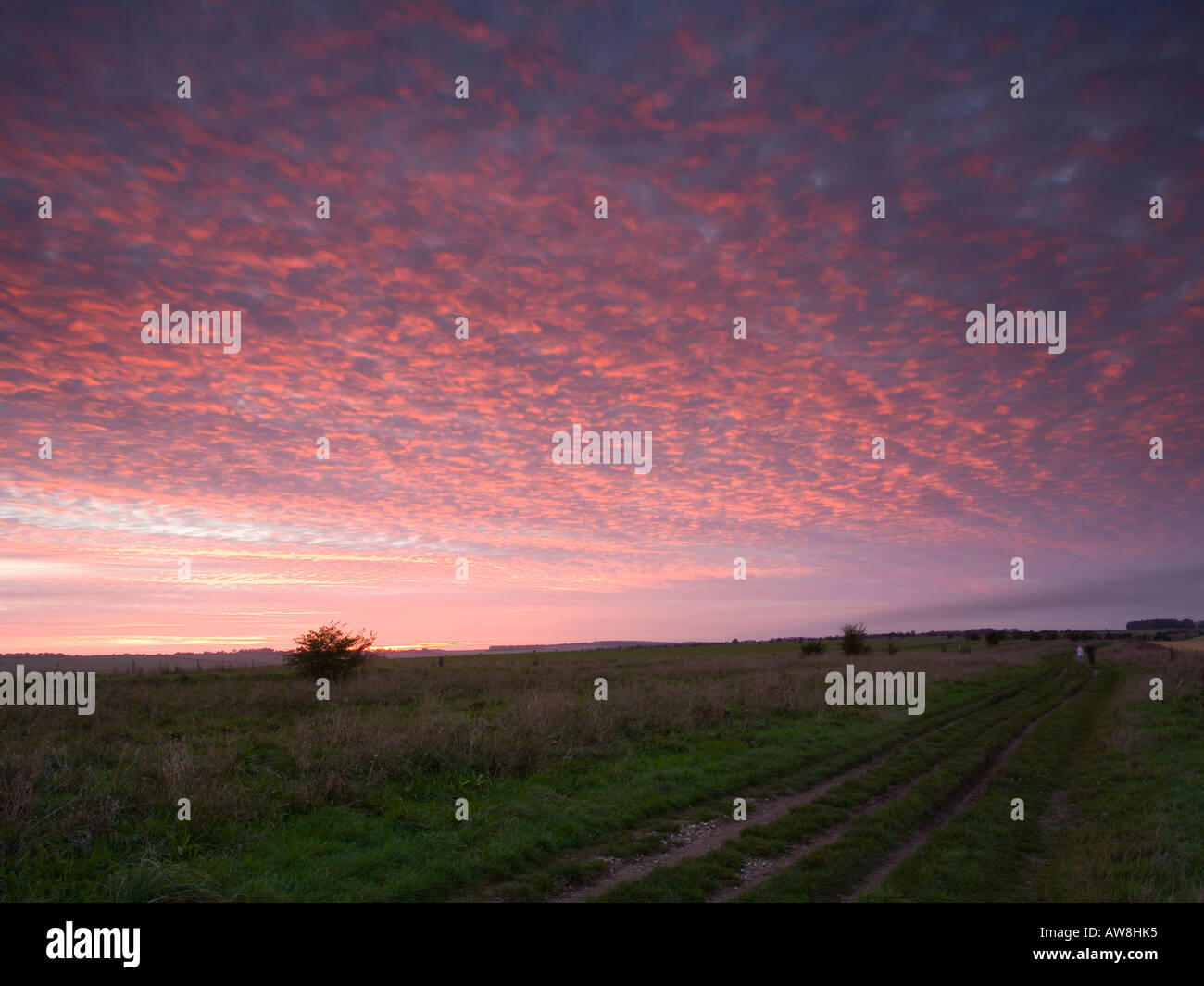 The Ridgeway long distance path along the boader of Berkshire and ...
