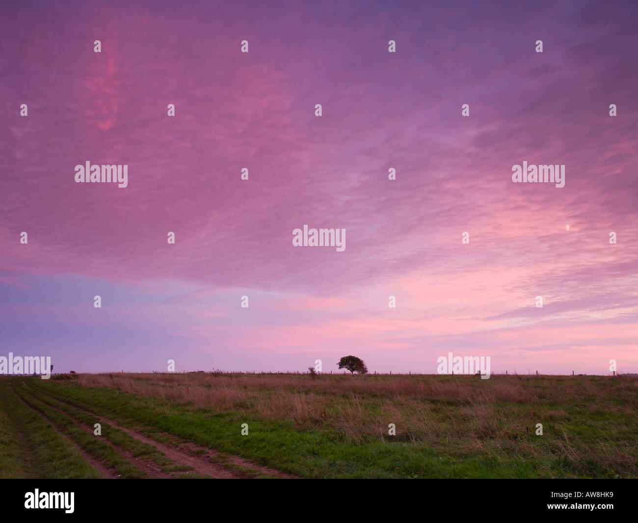 The Ridgeway long distance path along the boader of Berkshire and ...