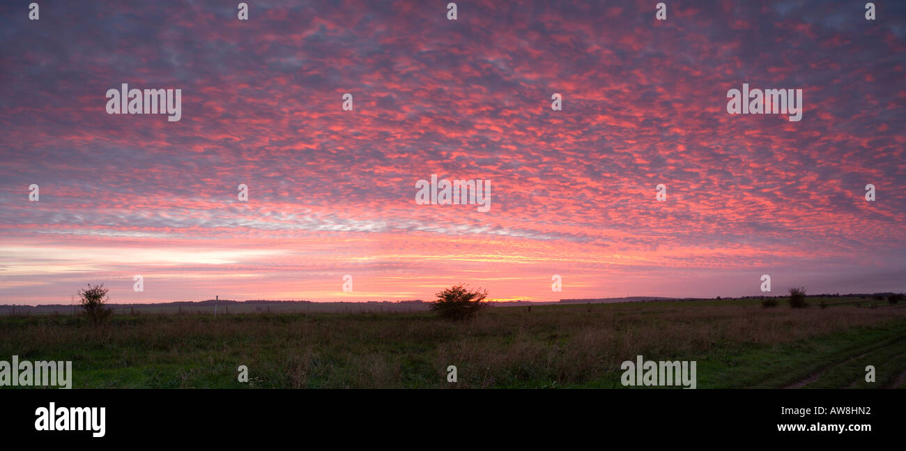 The Ridgeway long distance path along the boader of Berkshire and ...