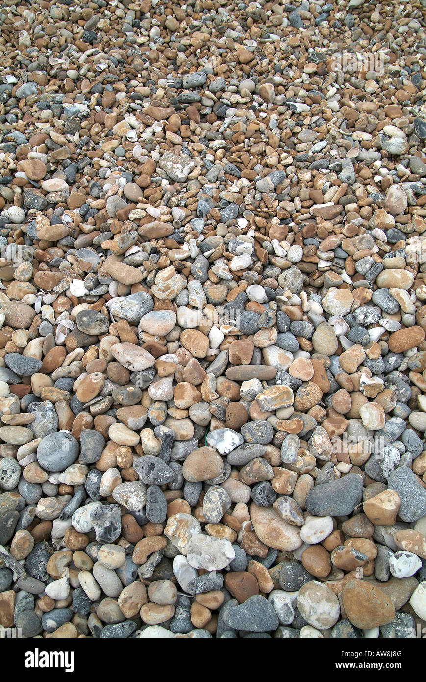 stones pebbles and shingle on brighton and hove city beach, East sussex ...