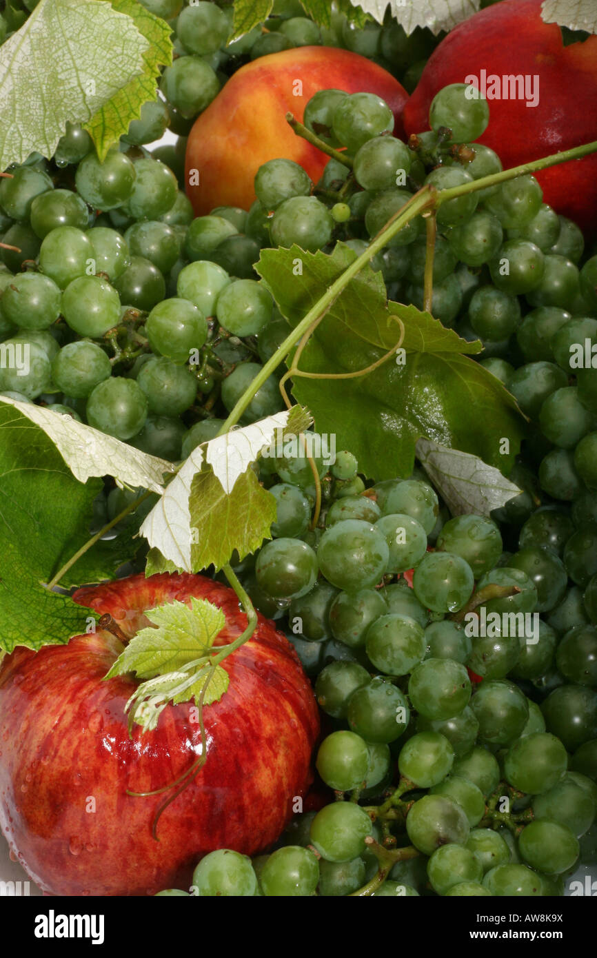 Extreme Advertising Grapes