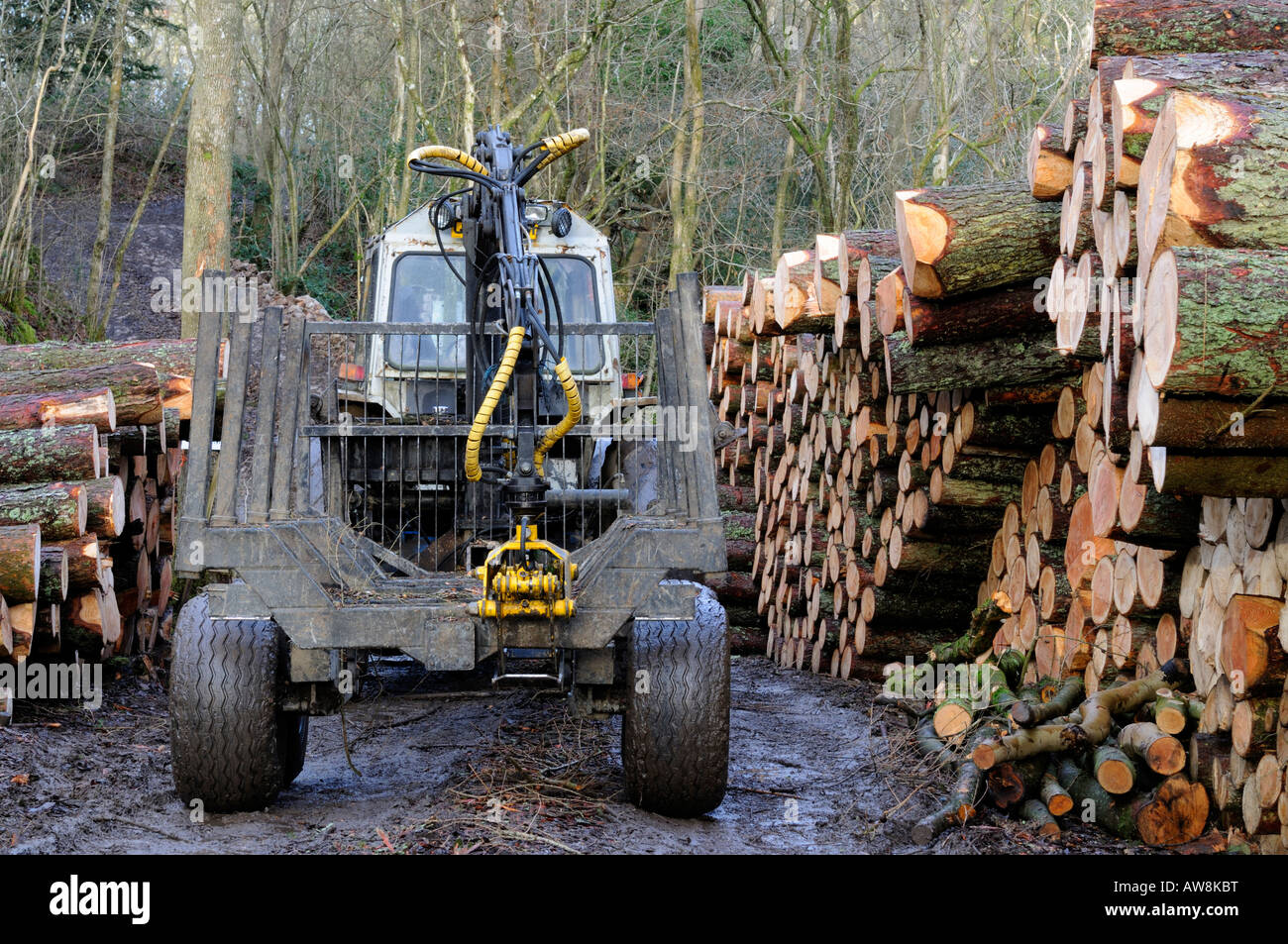 Stacked trees and transport equipment Stock Photo - Alamy
