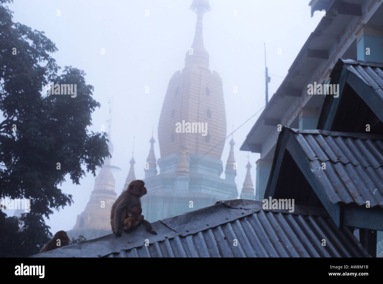 Mount popa steps hi-res stock photography and images - Alamy