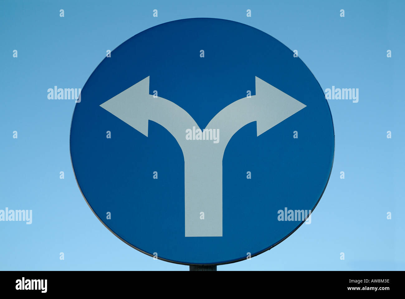 Road Traffic Sign Showing Left and Right Turning Ahead Only, Close Up ...