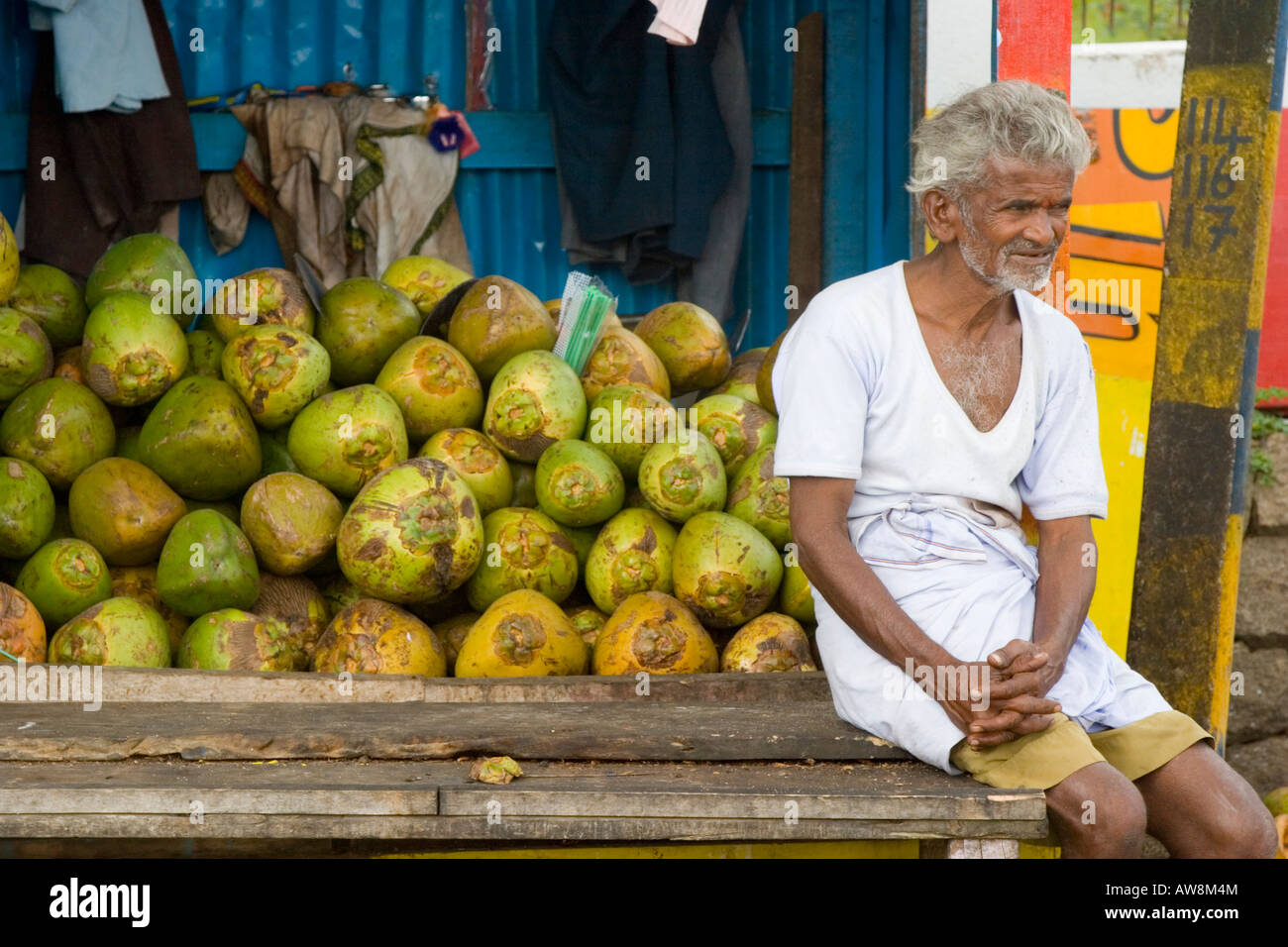 Man selling coconuts at a stall by the roadside in India Stock Photo ...
