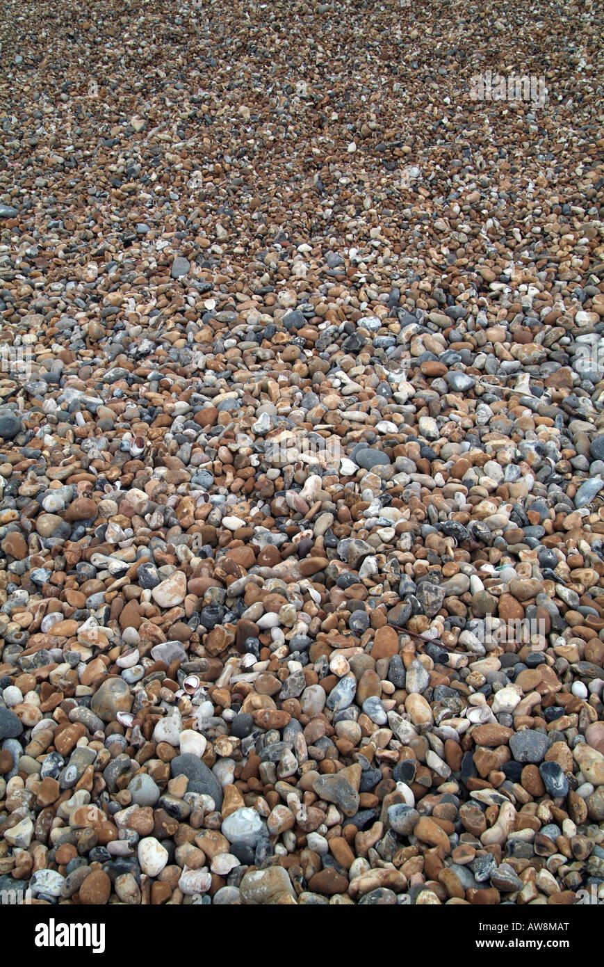 stones pebbles and shingle on brighton and hove city beach, East sussex ...