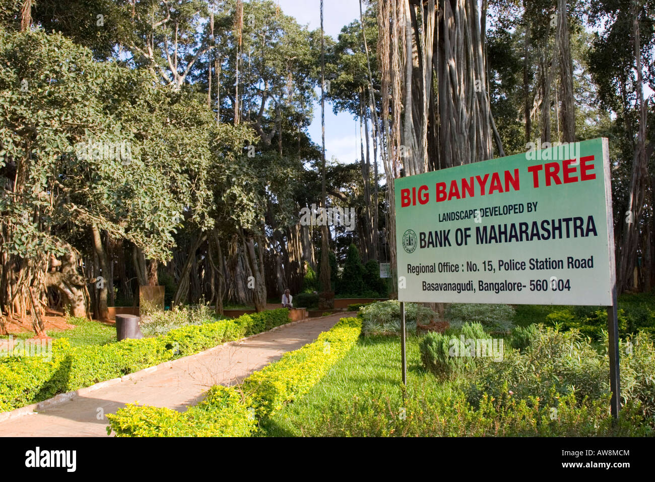The Big Banyan Tree a popular tourist spot at Ramohalli near Banaglore ...