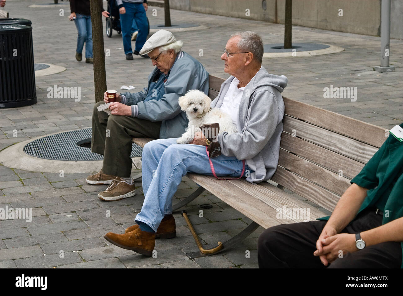 Elderly men on a street bench Toronto Canada Stock Photo - Alamy