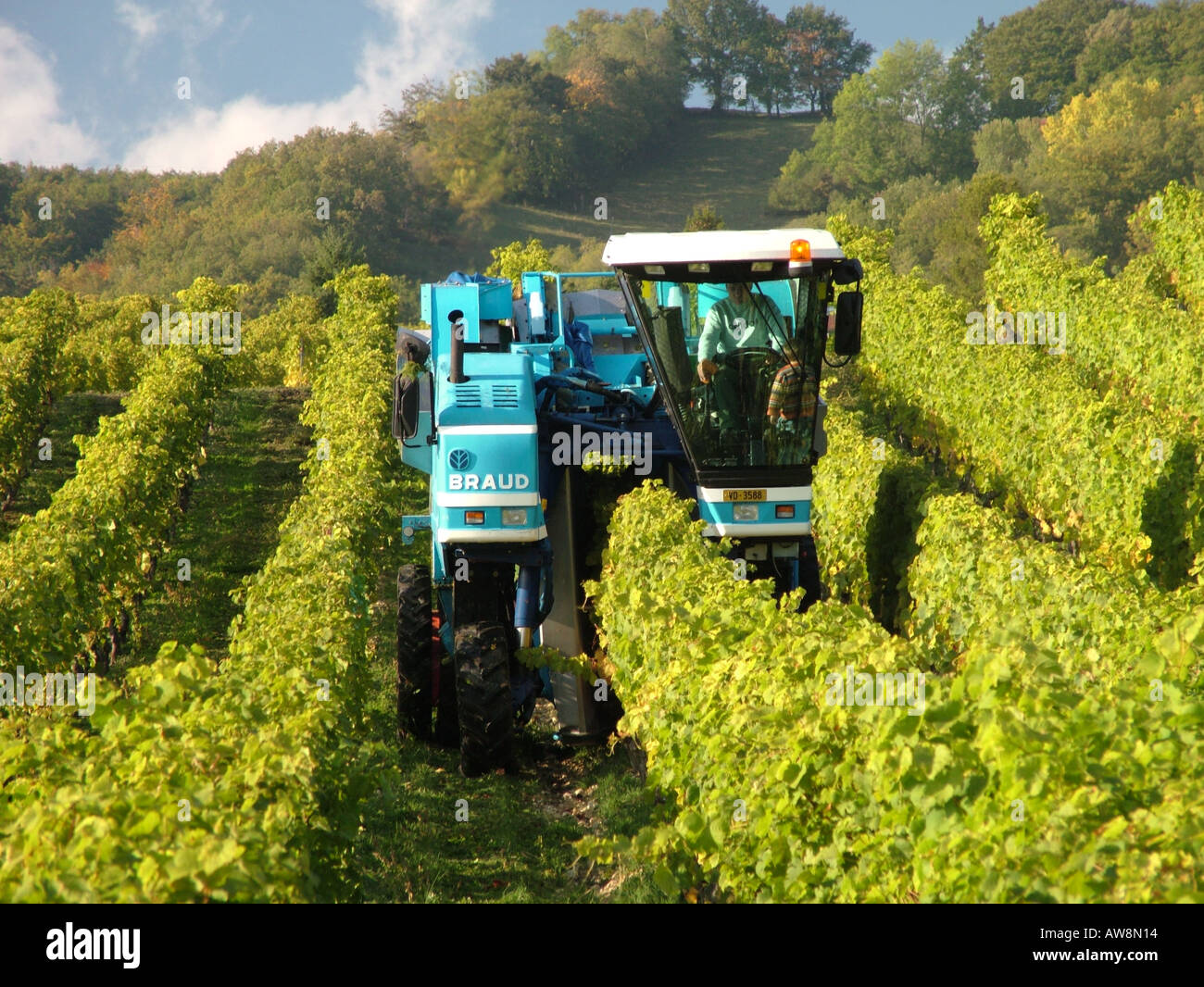 Mont Sur Rolle Stock Photos & Mont Sur Rolle Stock Images - Alamy