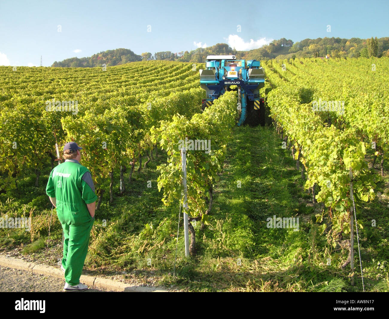 Mont Sur Rolle Stock Photos & Mont Sur Rolle Stock Images - Alamy