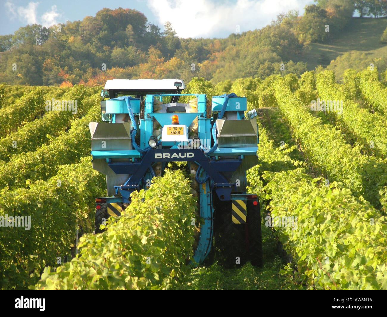 Mont Sur Rolle Stock Photos & Mont Sur Rolle Stock Images - Alamy
