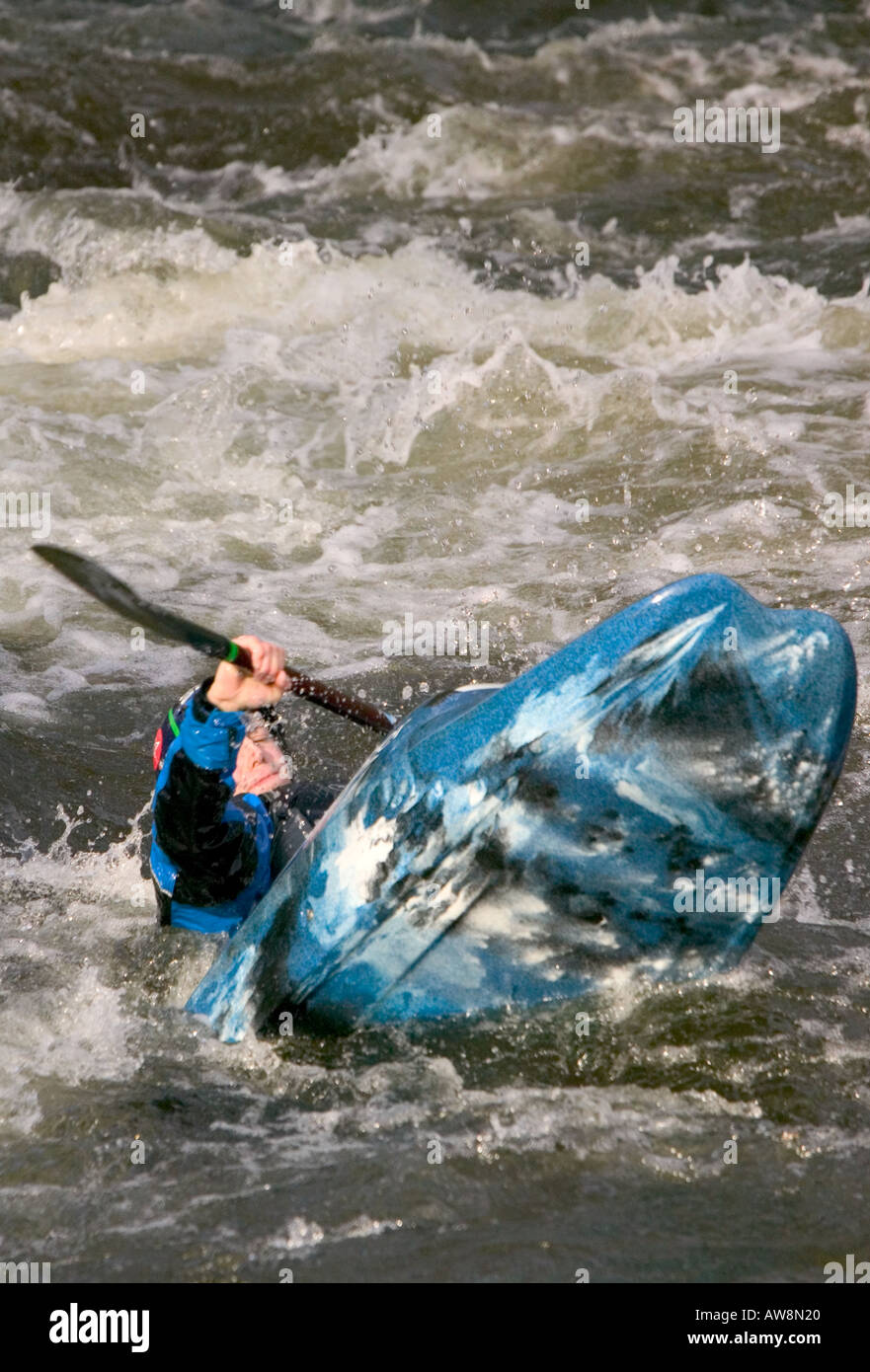 Canoeist performing an eskimo roll on the River Brathay, Ambleside ...