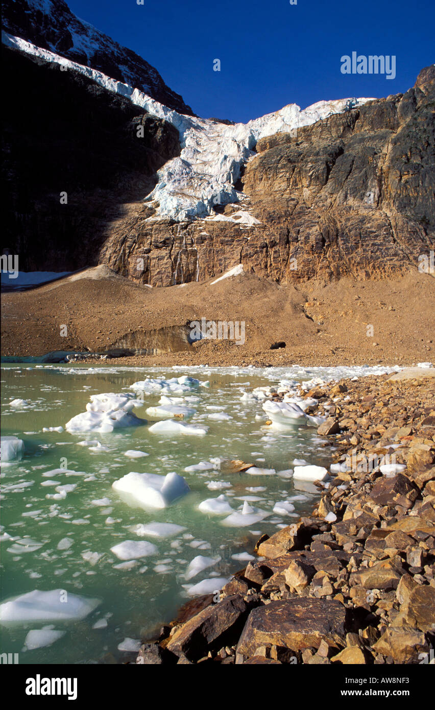 The Angel Glacier and icebergs on lake under Mount Edith Cavell in the ...