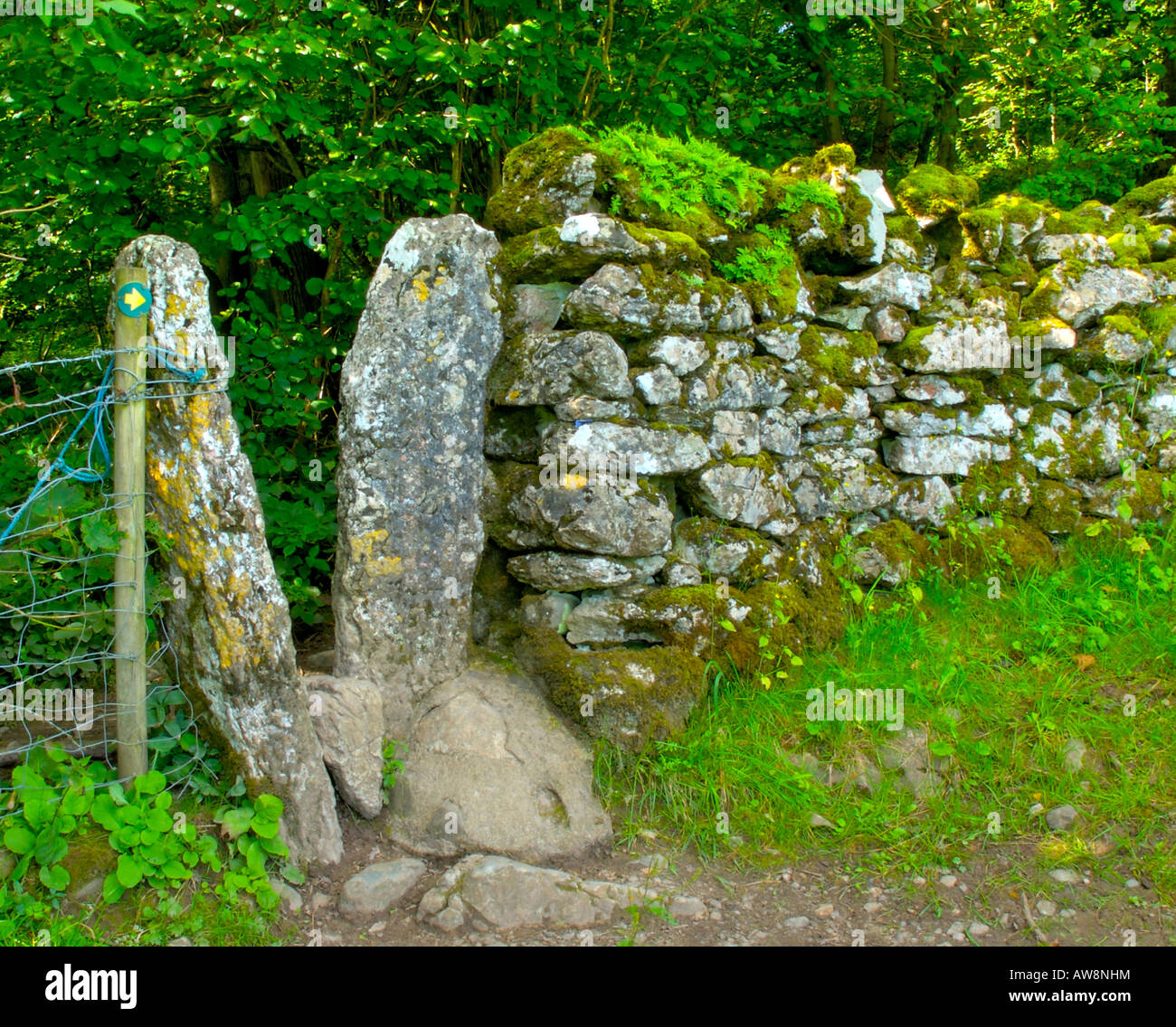 Squeeze stile hi-res stock photography and images - Alamy