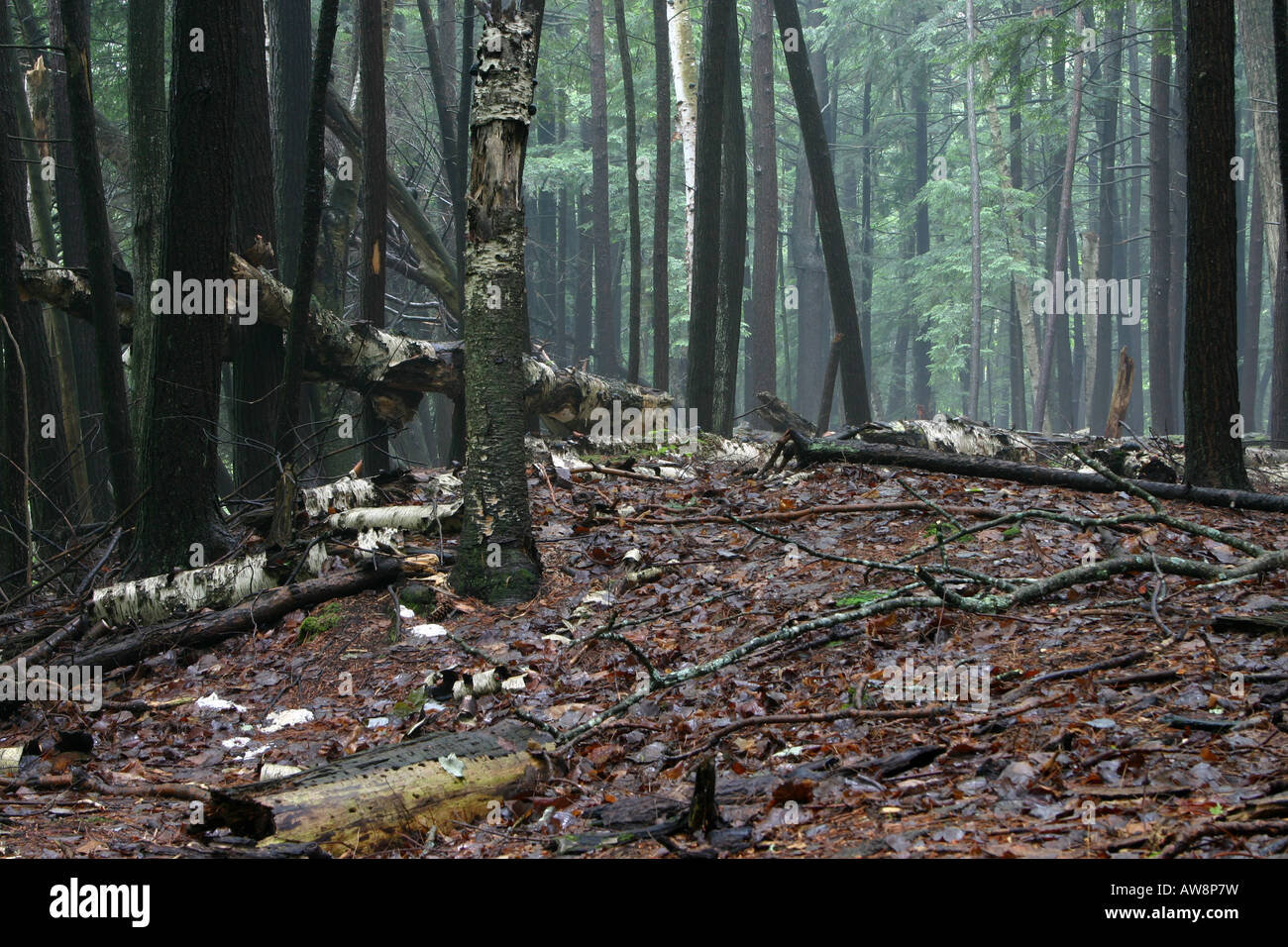 Beam hi res hi-res stock photography and images - Alamy