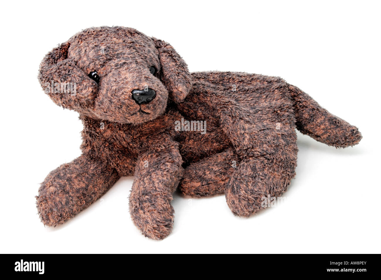 Cute toy dog Stock Photo - Alamy