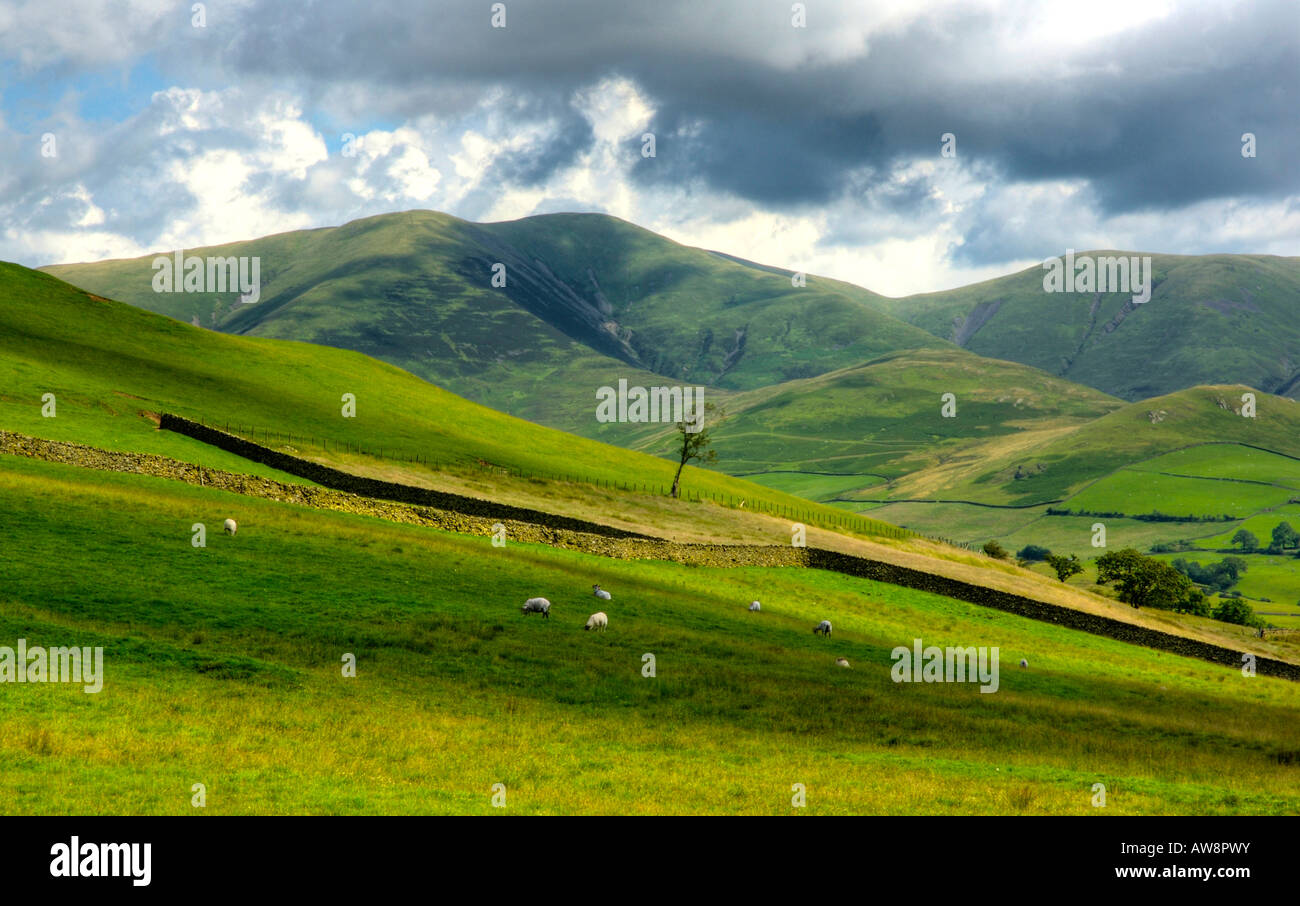 Howgill Fells near Sedbergh, Cumbria UK Stock Photo - Alamy