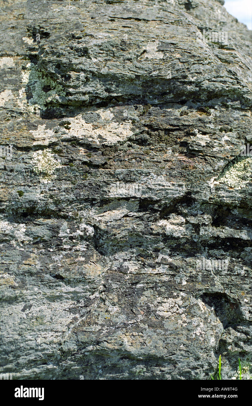 Close-up detail of the Bellevue Erratic near McMinnville, Oregon Stock ...