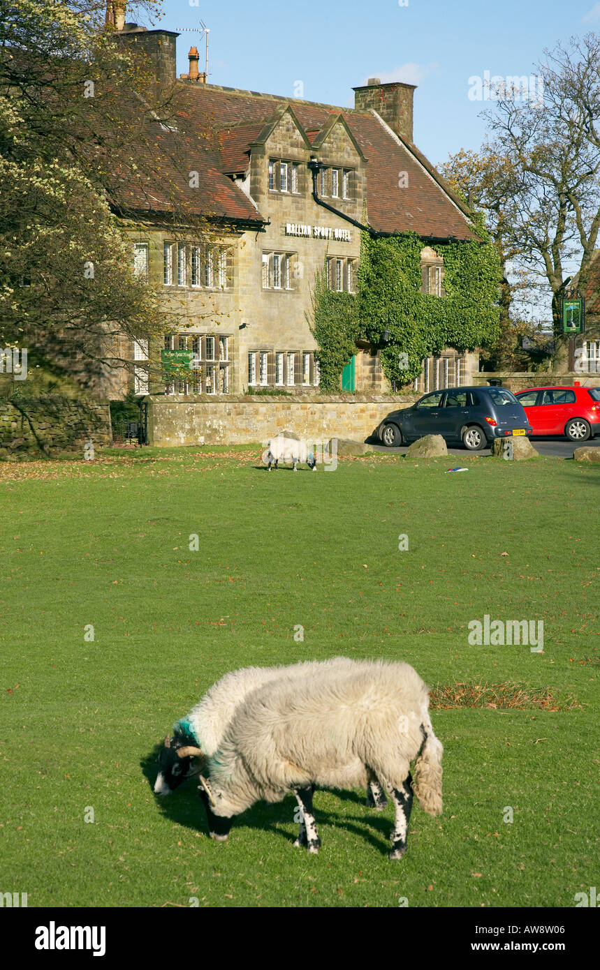 The Mallyan Spout Hotel with sheep Goathland North Yorkshire England ...