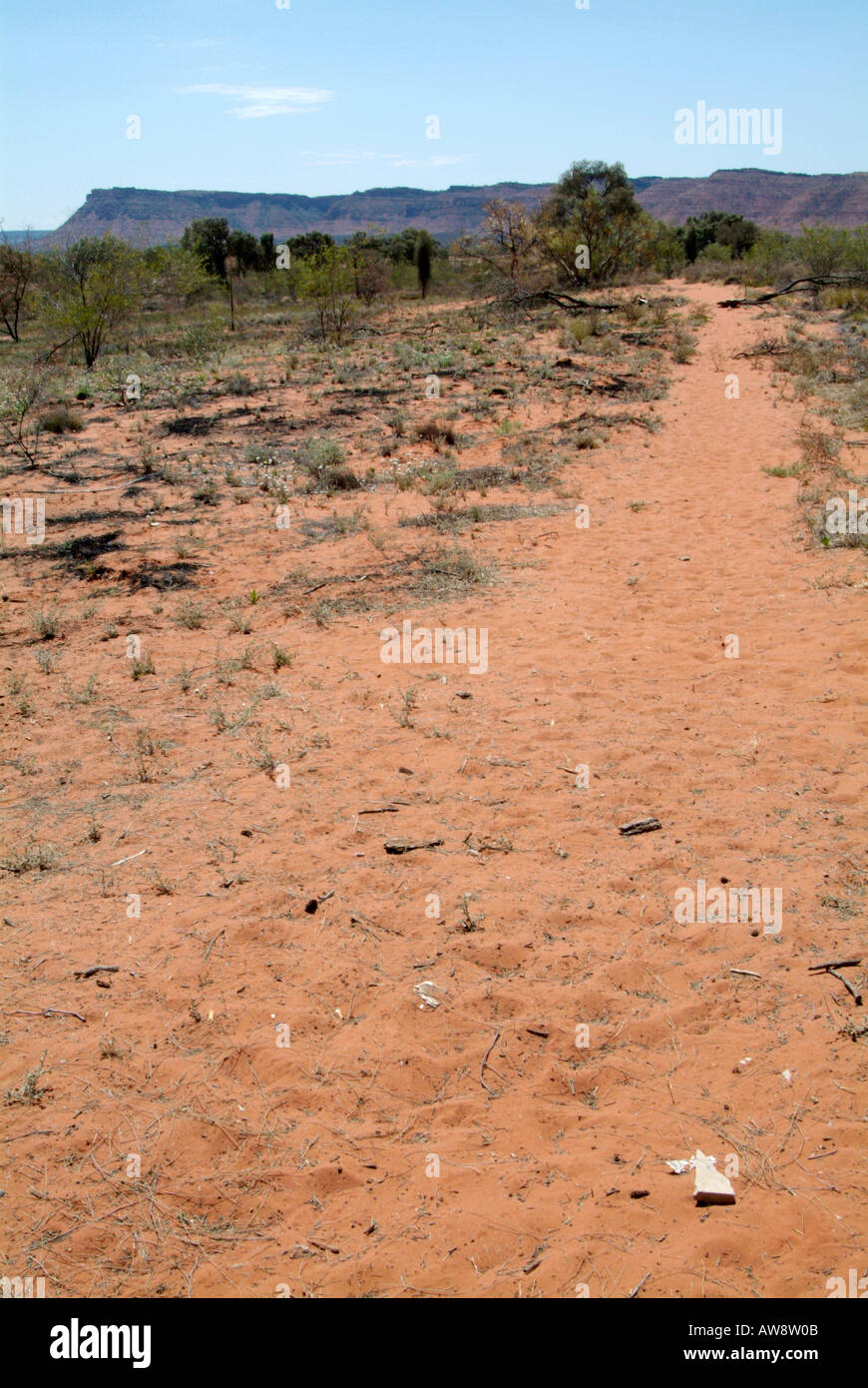 path in the Australian outback sand desert iron oxide scrub walkabout ...