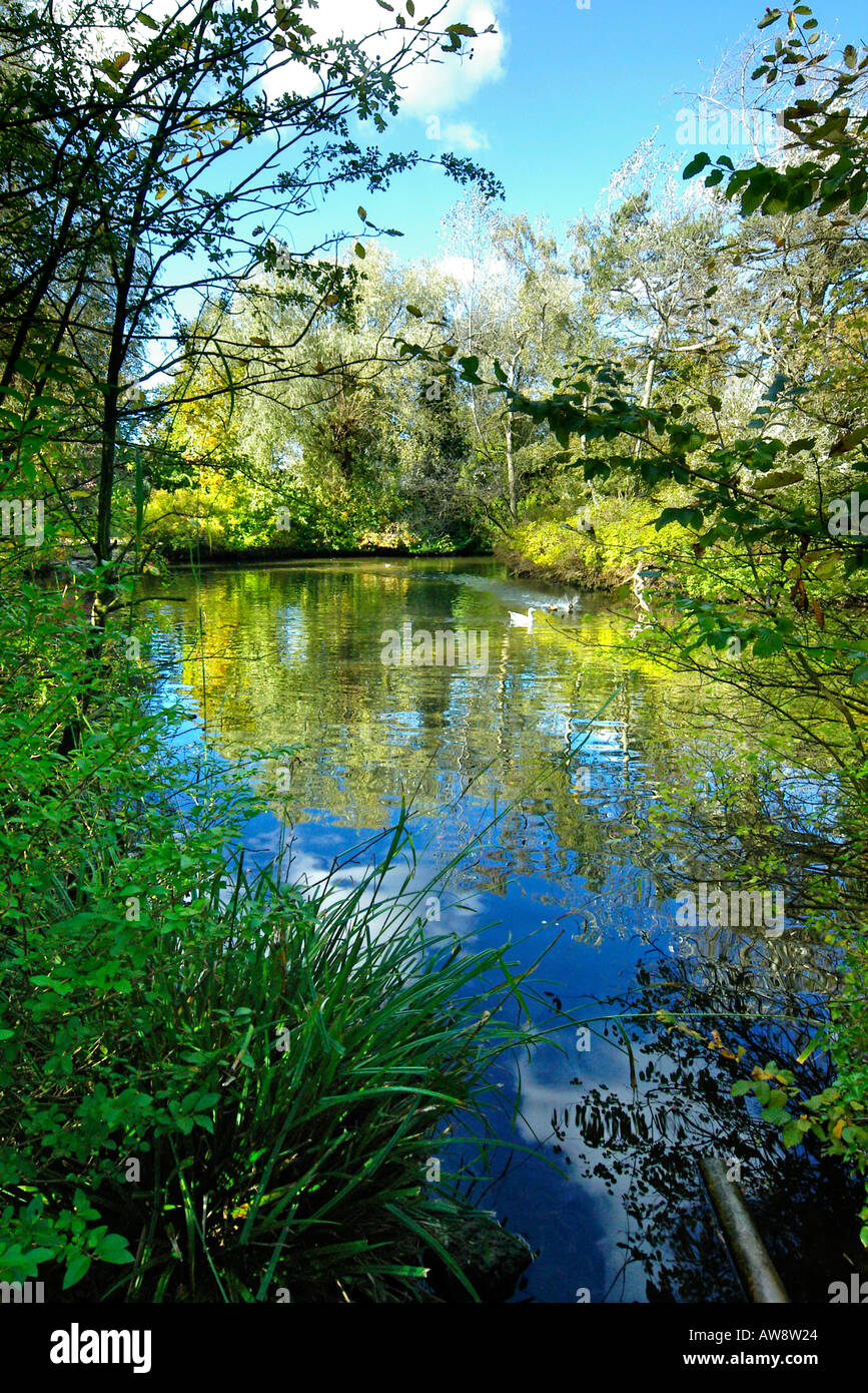 Ropner park hi-res stock photography and images - Alamy