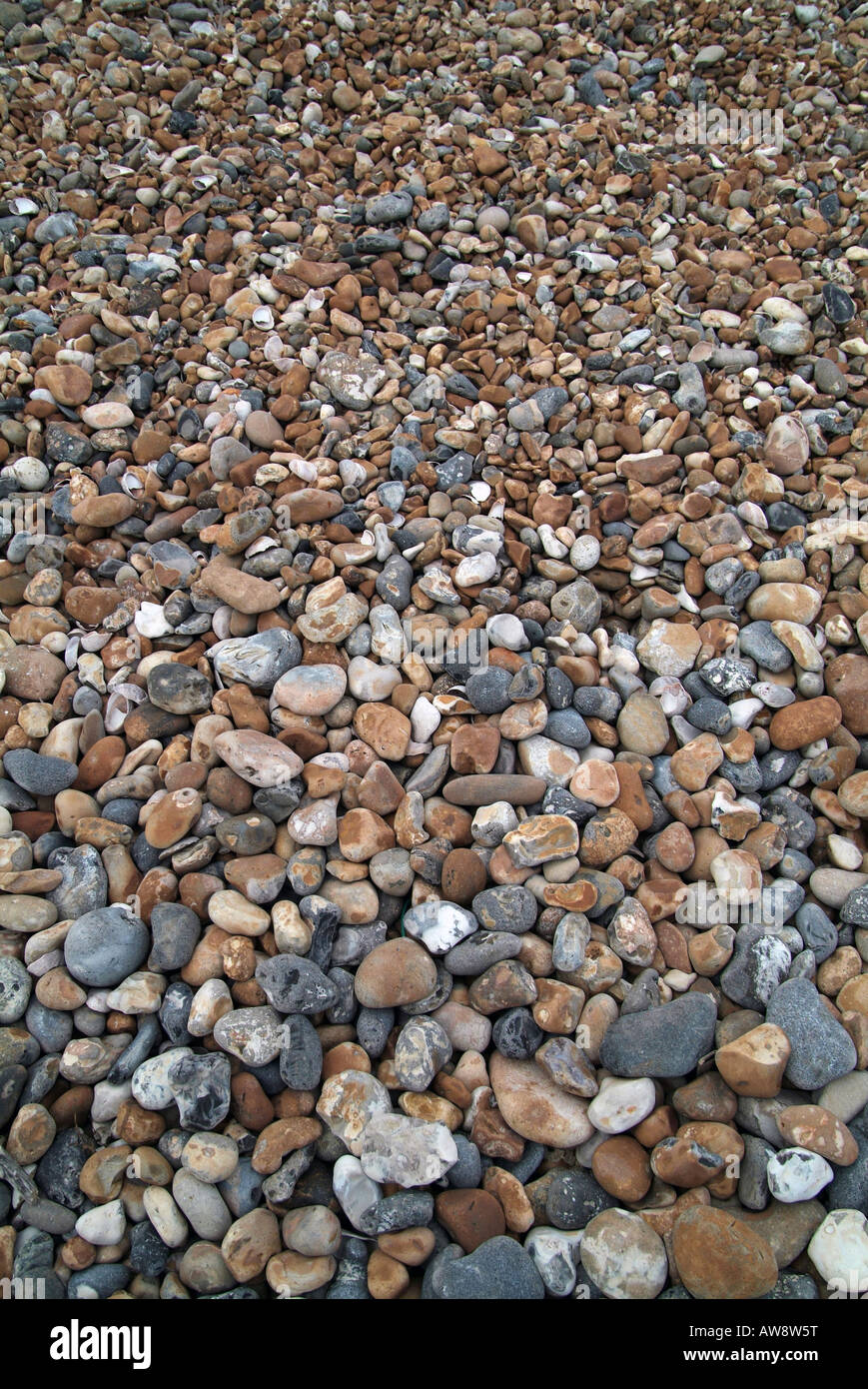 stones pebbles and shingle on brighton and hove city beach, East sussex ...