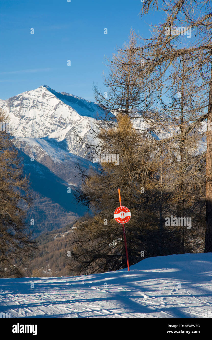 Piste marker hi-res stock photography and images - Alamy