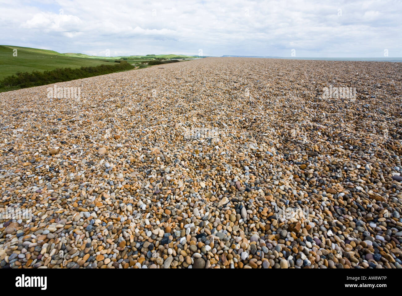 Chesil Beach, Dorset Stock Photo - Alamy